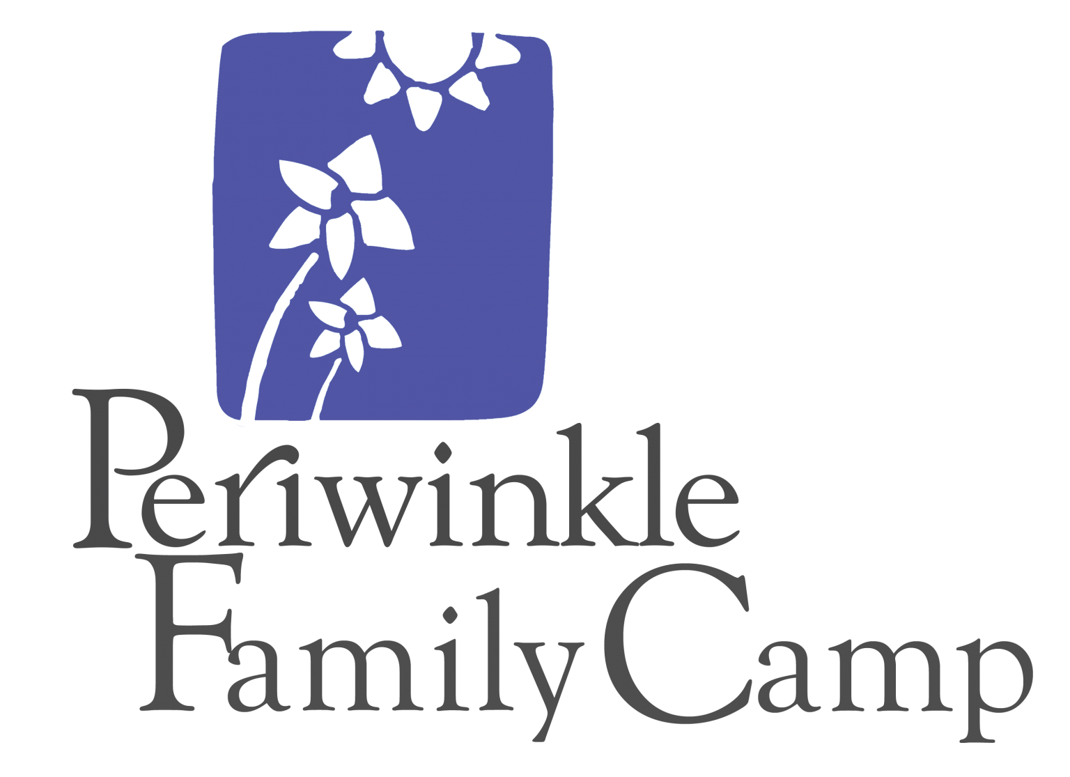 Family Camp - The Periwinkle Foundation